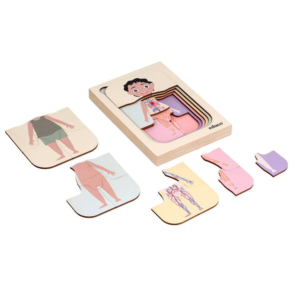 Layered Anatomy Puzzle - Human Body Boy – Absorbent Minds Montessori