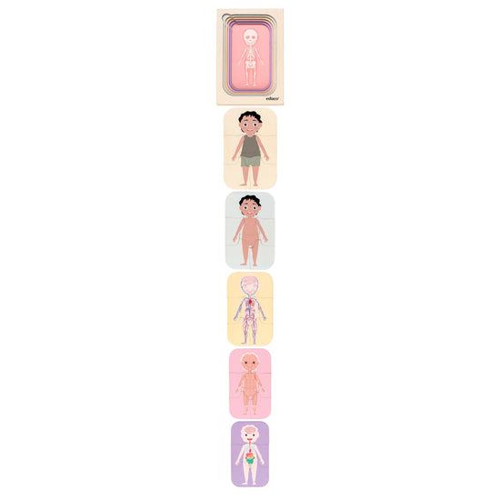 Layered Anatomy Puzzle - Human Body Boy – Absorbent Minds Montessori