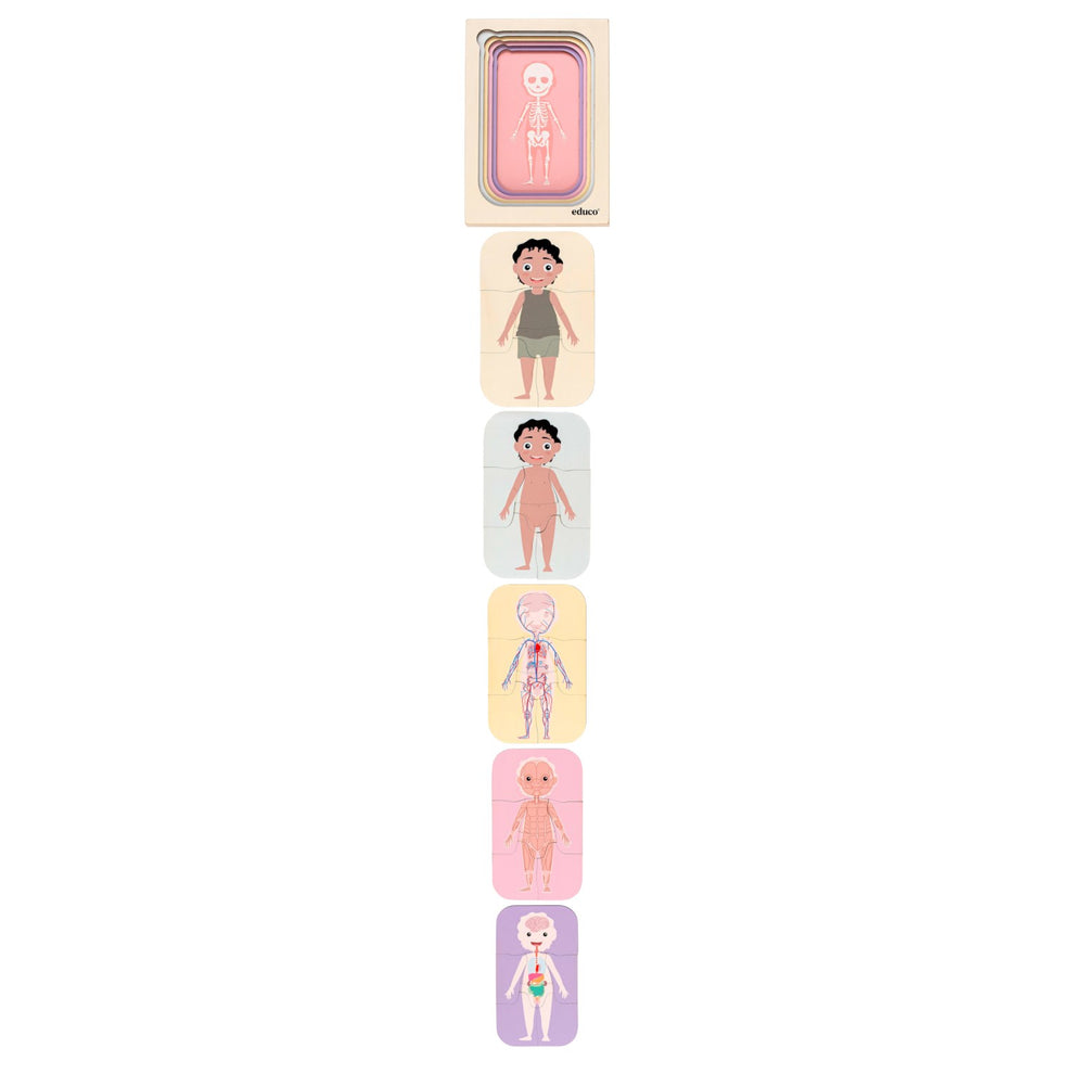Layered Anatomy Puzzle - Human Body Boy – Absorbent Minds Montessori