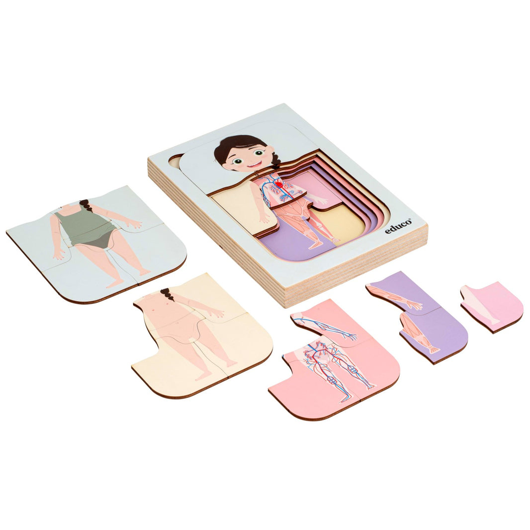 Layered Anatomy Puzzle - Human Body Boy – Absorbent Minds Montessori