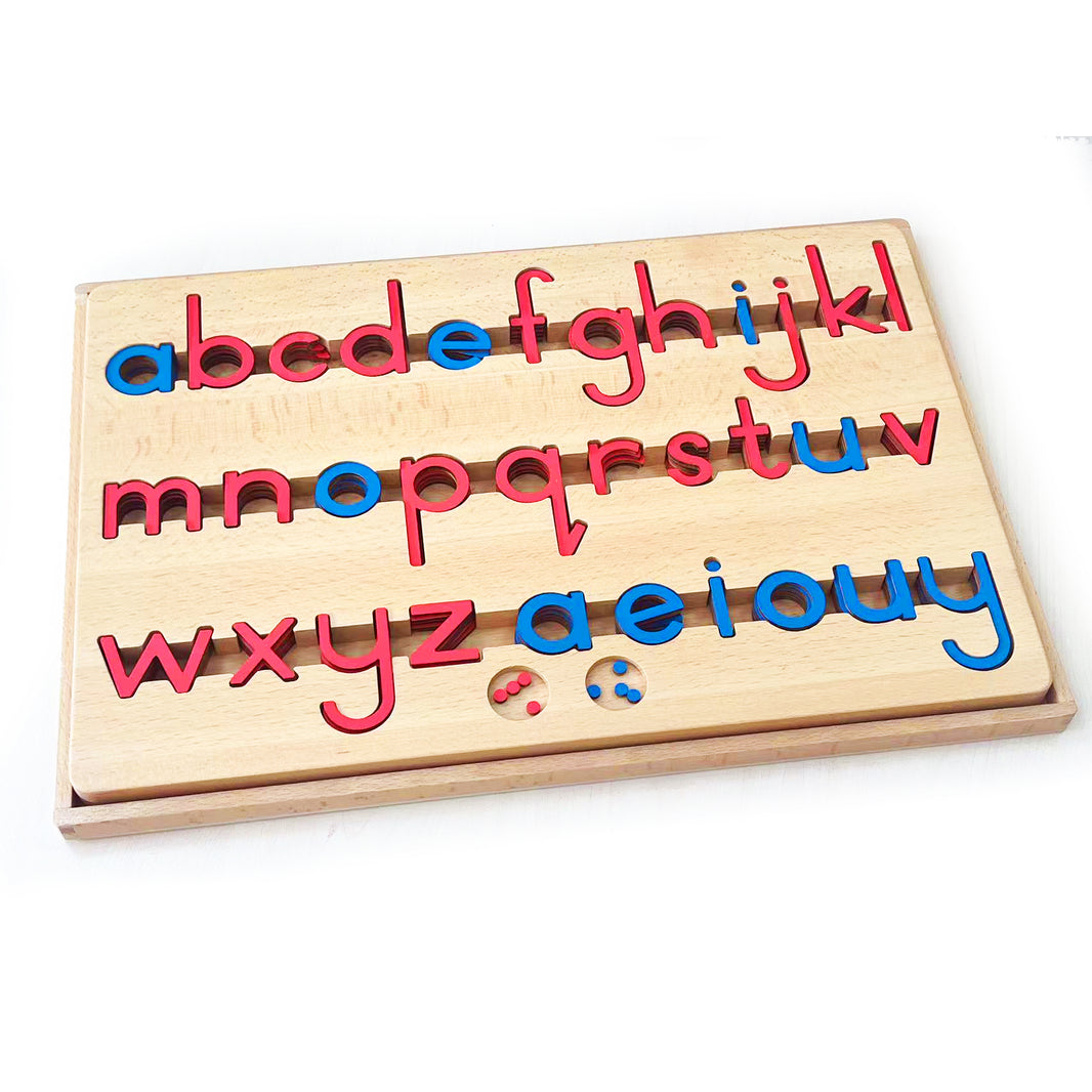 Montessori Small Movable Alphabet Letters green – Absorbent Minds ...