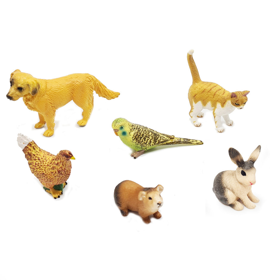 Absorbent Minds Montessori