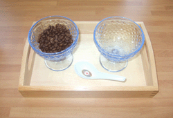 Transferring Ideas – Absorbent Minds Montessori