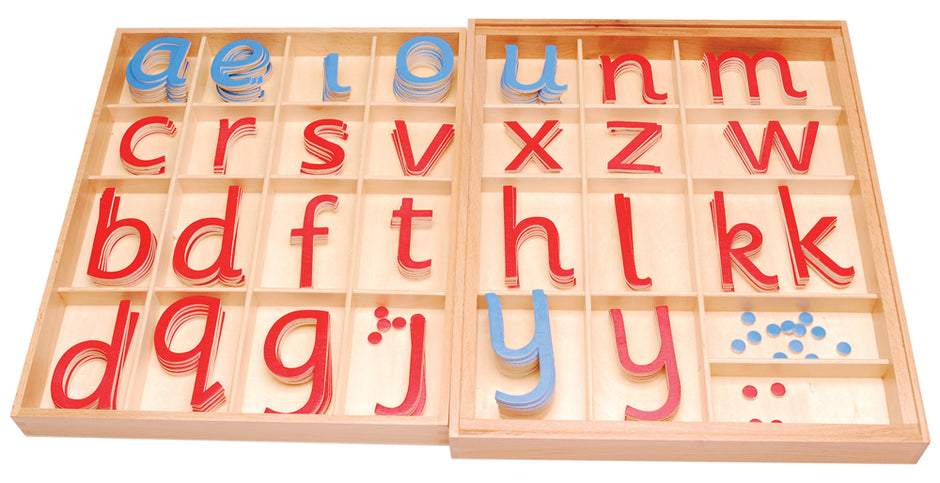 Montessori Large Movable Alphabet In A Split Level Box – Absorbent ...