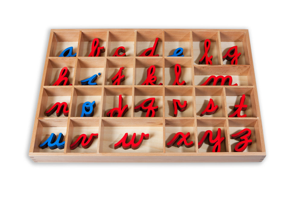 Montessori Cursive Movable Alphabet and Box – Absorbent Minds Montessori