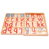 Montessori Large Movable Alphabet In A Split Level Box – Absorbent ...